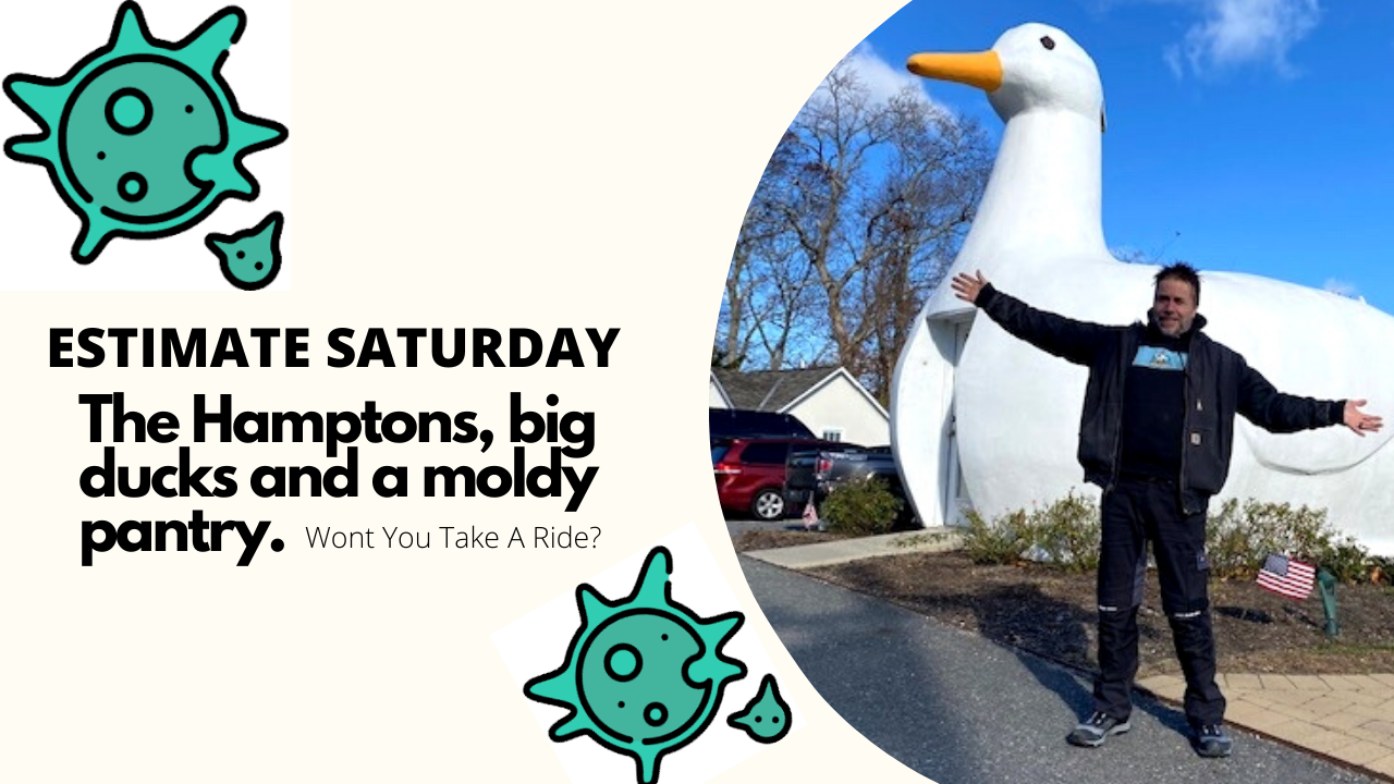 Ride Along With Long Island Mold Guy - Long Island Mold Guy